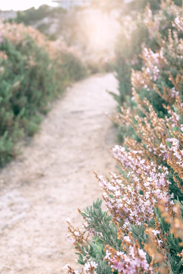 Mindful Journey Therapy – Finding a path to emotional and mental freedom